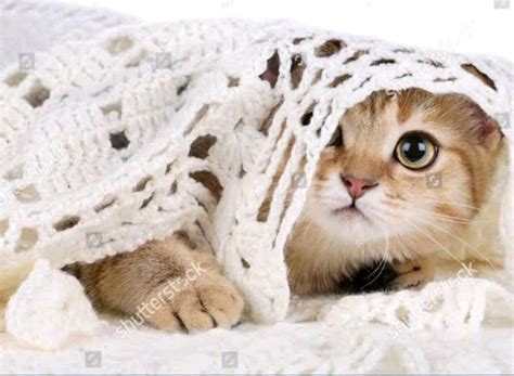 Shoaib Khan On Linkedin Programming C C Codequality Learning Softwaredevelopment