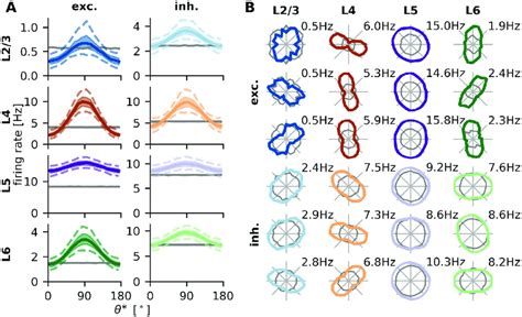 Single Neuron Tuning Curves A Single Neuron Tuning Curves Are Centered Download Scientific