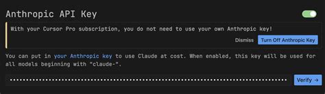 We Encountered An Issue When Using Your Anthropic Api Key Discussion