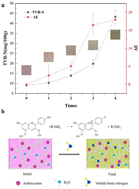Novel Electrospun Gelatin Nanofibers Loaded With Purple Potato
