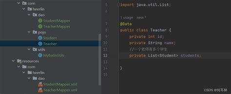 Mybatis复杂环境搭建 多对一的处理 一对多的处理mybatis一对多添加数据 Csdn博客