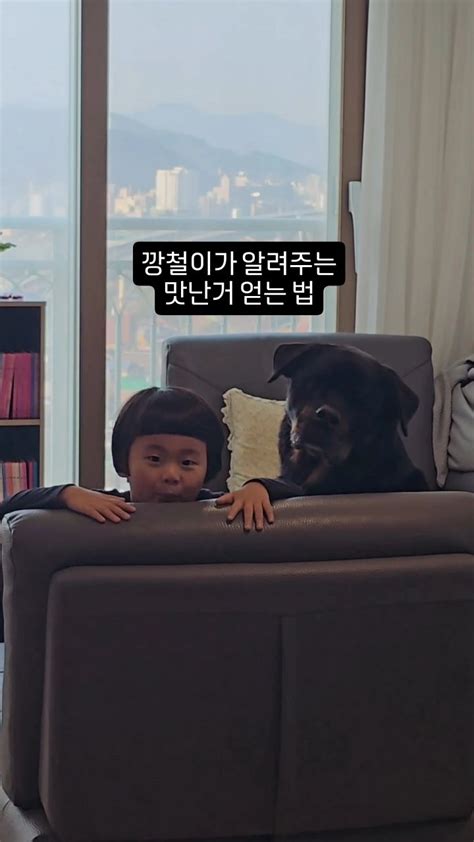 고운 I 애개육아 캠핑 여행 집꾸미기 🐶 Gggggangchi • Instagram Photos And Videos
