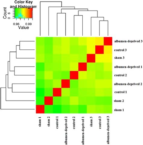 Correlation Between Biological Replicates Heat Map Of Spearmans