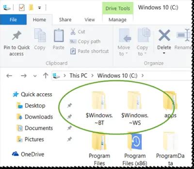 Can I Delete Windows BT Windows WS Folders