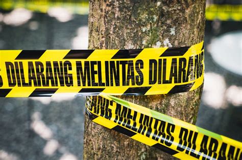 No Passing Signs Installed Stock Image Image Of Brand 365155499