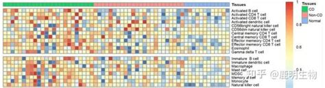 Cibersort软件助力探索肿瘤浸润的免疫细胞 知乎