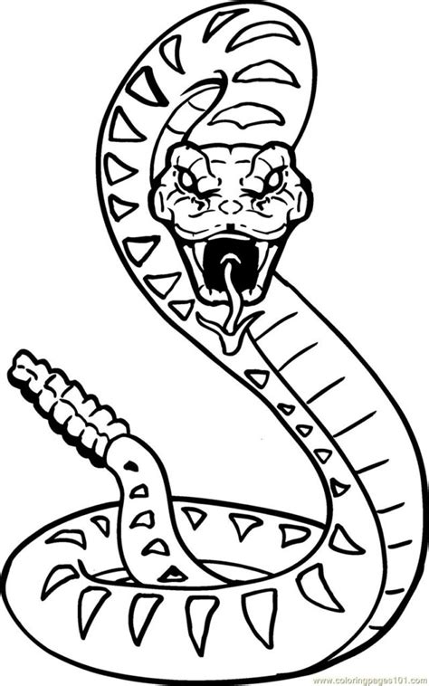 Spitting Cobra Coloring Pages At Getdrawings Free Download