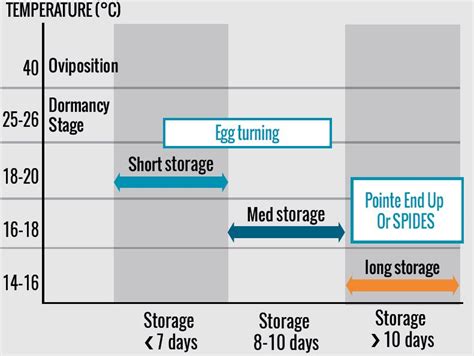 Ensuring Optimal Conditions During Egg Storage Novocenter