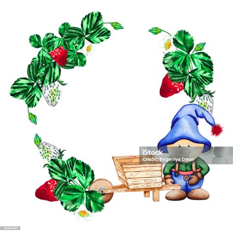 카트와 딸기를 곁들인 그놈 파란 양복을 입은 그놈과 빅토리아의 덤불 속에 정원 카트가 있는 모자를 쓴 그놈의 손으로 그린 수채화 그림 흰색 배경에 디자인을 위한 프레임 개체