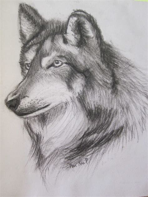 Dibujo De Un Lobo A Lapiz Imagui