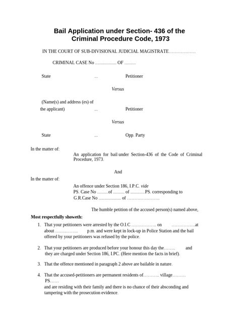 Bail Application 1 Pdf