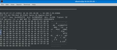 How To Use The Snort IDS IPS Complete Practical Guide