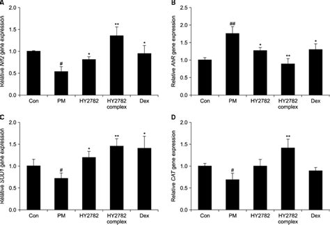 Oxidative Stress Related Gene Expression Levels In Lung Tissue Nrf2