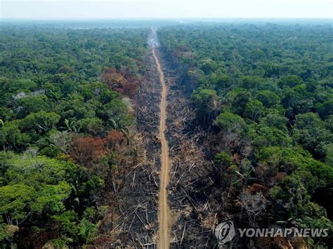 룰라 지구의 허파 아마존 지키려 불법광업과 전쟁 본격화 연합뉴스