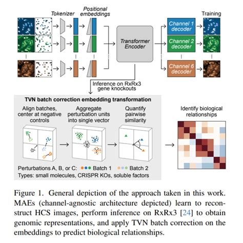 Cvpr Paper On Batch Effects And Data Quality Recursion Posted On The