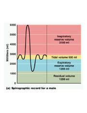 Spirometry Graph Picture 1 6000 5000 Inspiratory Reserve Volume