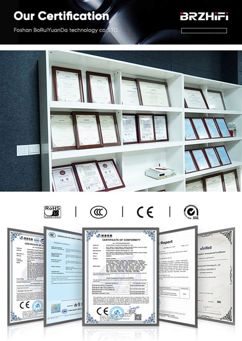 Brzhifi Nhb 108 Audiophile Class A Amplifier Reference Switzerland Dar