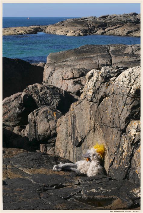 Sunbathing On Tumblr