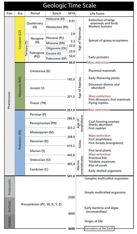 Enhanced Rock Weathering Erw