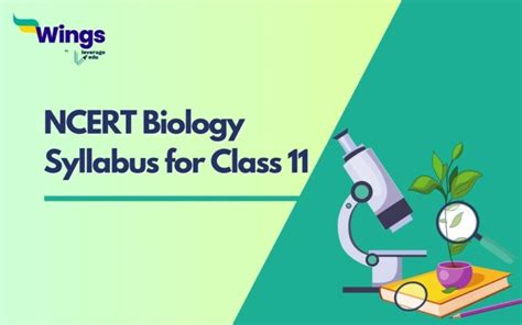 Ncert Biology Class 11 Syllabus Chapters And Free Pdf Solutions