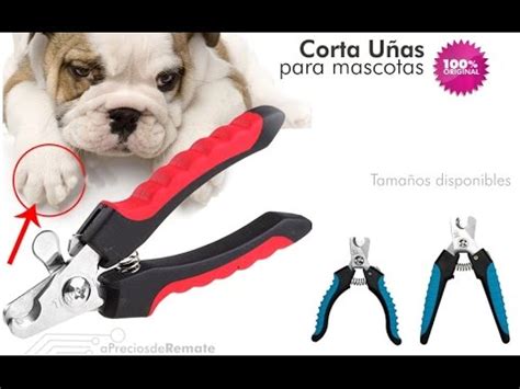 Pinza Corta Uñas Para Mascota Tipo Tijera Profesional Para Perros Y