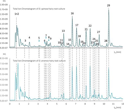 Frontiers Qualitative And Quantitative Phytochemical Analysis Of Ononis Hairy Root Cultures