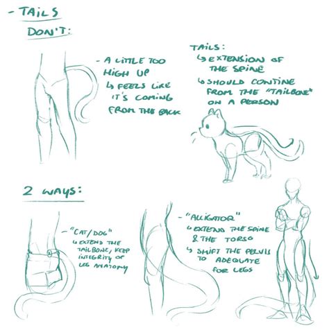How To Draw Animal Anthro Characters Winged Canvas Blog
