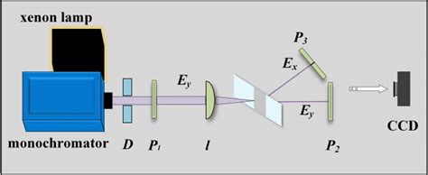 Schematic Of Experimental Setup Used To Measure The Transmitted Light