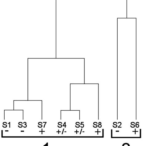 Sample Site Classification Based On Euclidean Distance And Wards