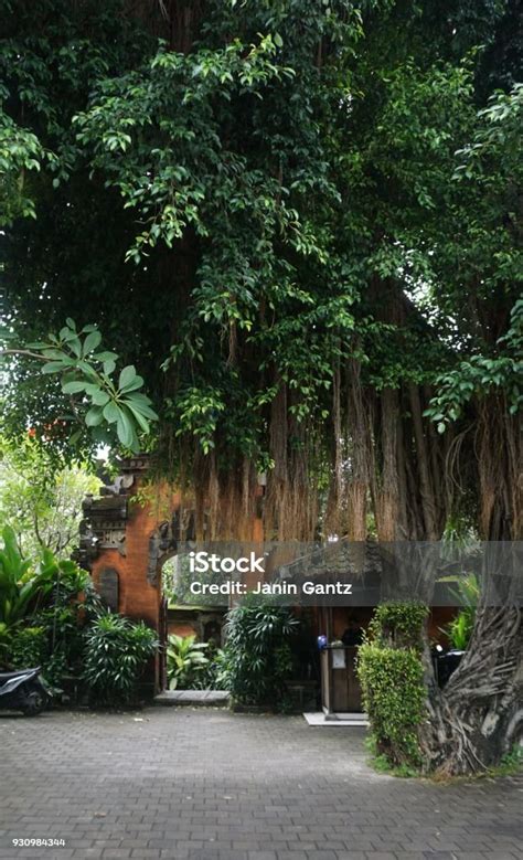 Pintu Masuk Gerbang Candi Bali Dengan Tanaman Di Bali Indonesia Foto Stok Unduh Gambar