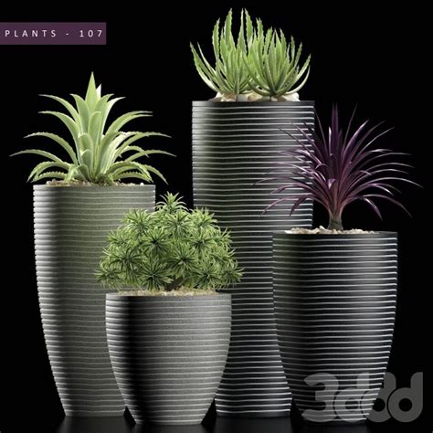 2459 Plant Sketchup Model By Free Download Artofit