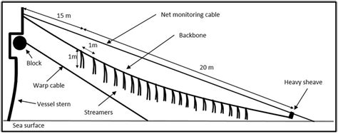 Diagram Of Front View Of The Bird Scaring Line Bsl Used To Reduce The