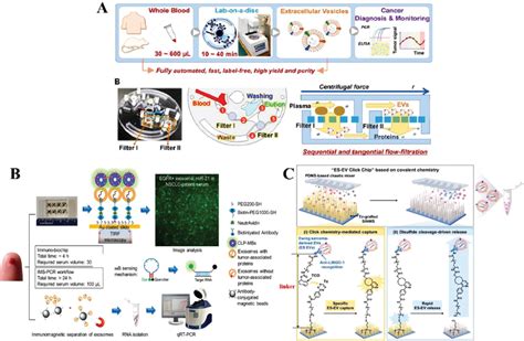 Diagram Of Multi‐strategy‐based Exosome Separation On Microfluidic Download Scientific Diagram