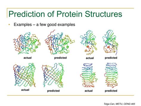Ppt Protein Folding And Protein Threading Powerpoint Presentation Free Download Id 4265821