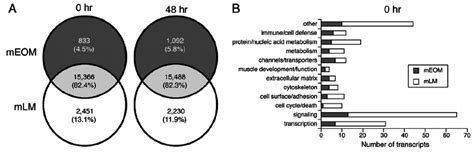Conserved And Lineage Specific Transcript Expression Patterns In The