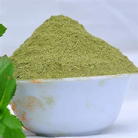 Peppermint Extract Powder Packaging Size 200 Grams At ₹ 1650kg In