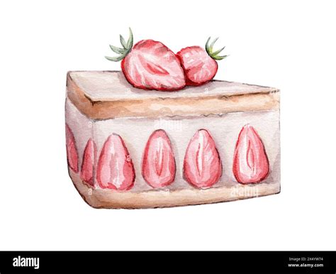 Strawberry Cake Drawing Realistic