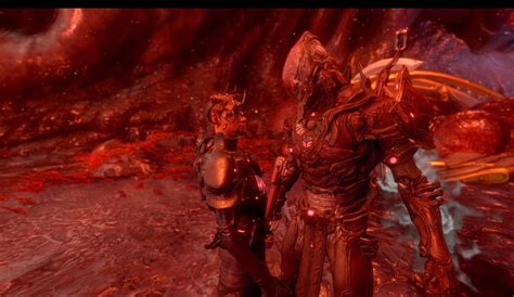 Ash Red Veil Assassin Rwarframerunway