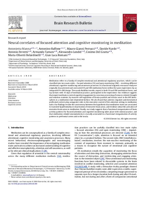 Pdf Neural Correlates Of Focused Attention And Cognitive Monitoring