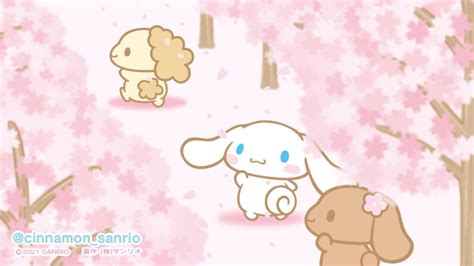 Mocha Sanrio Wallpapers Top Free Mocha Sanrio Backgrounds