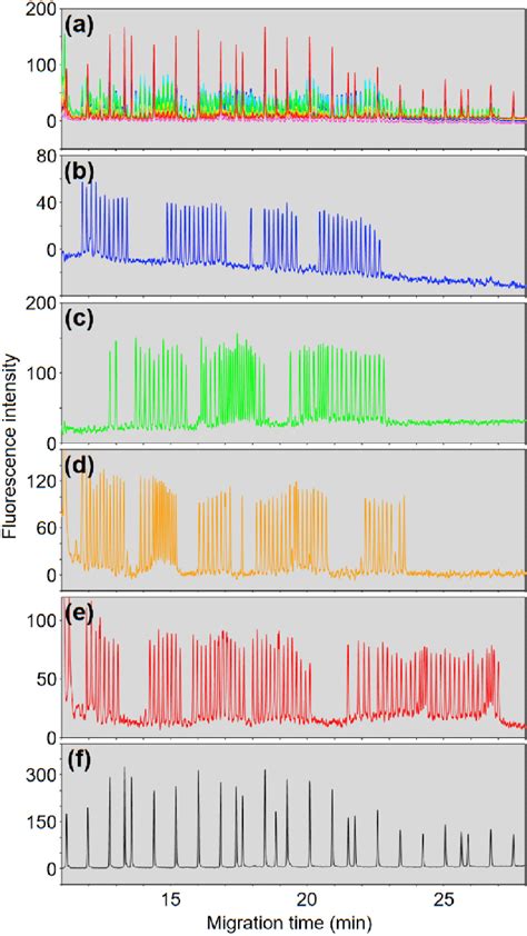 A Seven Color Electropherogram Of Separation Of An Allelic Ladder Download Scientific Diagram