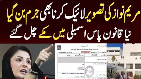 مریم نواز کی تصویر لائیک کرنا بھی جرم بن گیا نیا قانون پاس اسمبلی میں