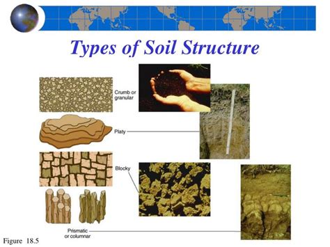 Structure Of Soil Different Types Of Structure Of Soil Images And Photos Finder