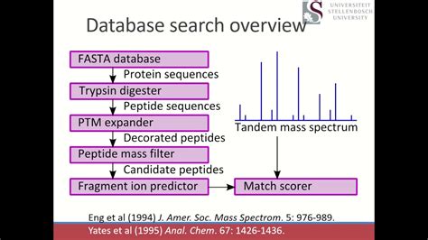 20191015 Proteomic Identification Through Database Search Youtube 20191015 Proteomic Identification Through Database Search Youtube