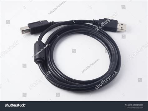 Usb Type Male Type B Stock Photo Shutterstock