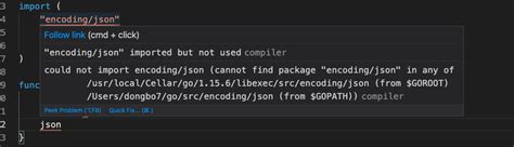 vscode whenever the import package under a goroot have suggested that