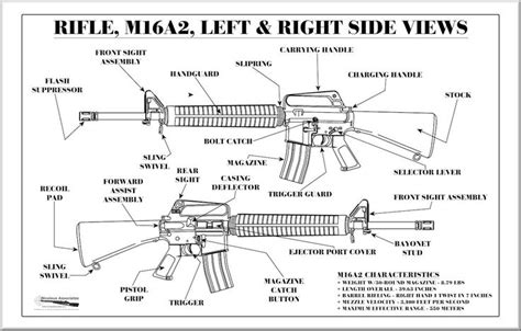 M16a2 Parts Diagram