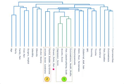 Hierarchical Cluster Analysis HCA Analysis Of All Factors In The