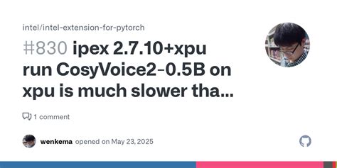 Ipex 2710xpu Run Cosyvoice2 05b On Xpu Is Much Slower Than Cpu
