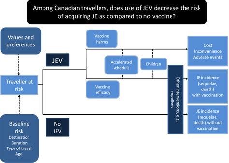 Statement on prevention of Japanese encephalitis - Canada.ca
